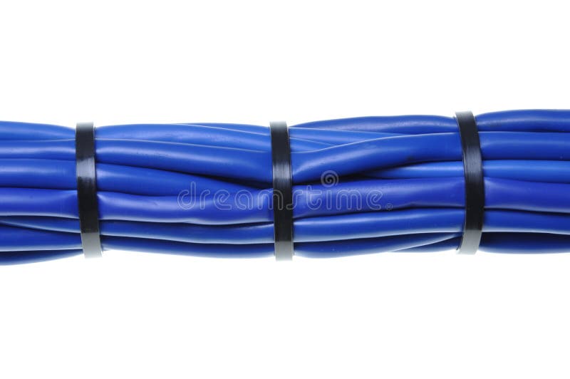Blue network cables stock photo. Image of isolated, cat6 - 26134788