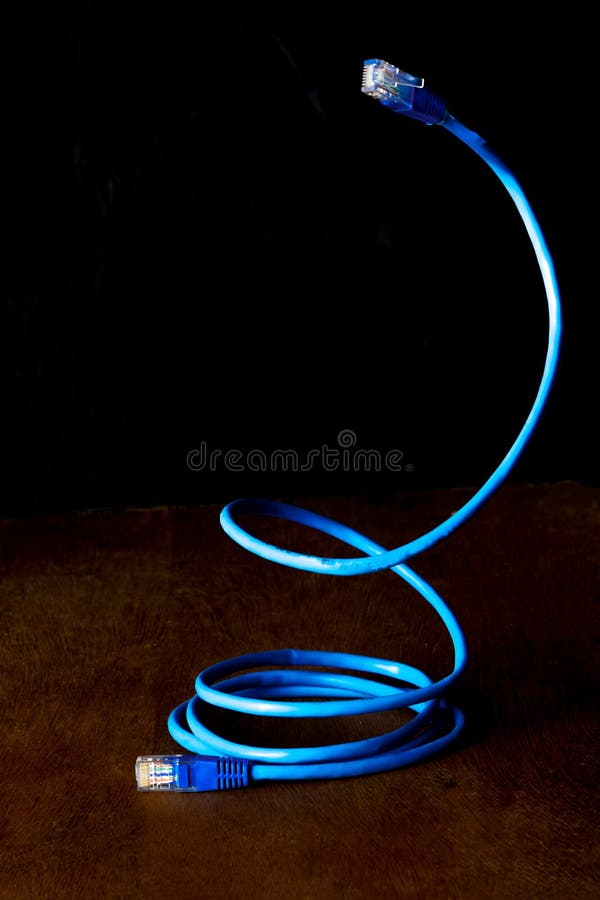 Network Snake stock image. Image of administrator, green - 107949