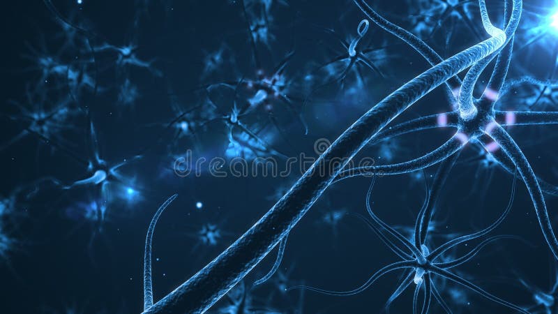 Neuron Synapse Animation