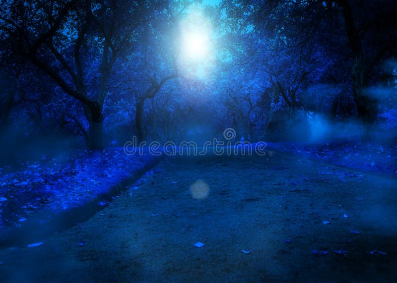Blue Night Park Apple Trees Stock Image - Image of light, leaf: 186666787