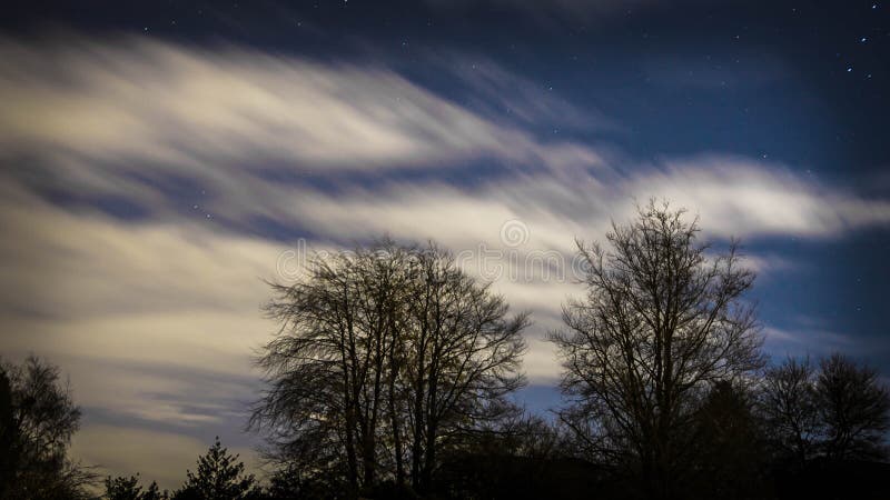 Blue Night Sky with Stars and Tree Stock Photo - Image of long, tree ...