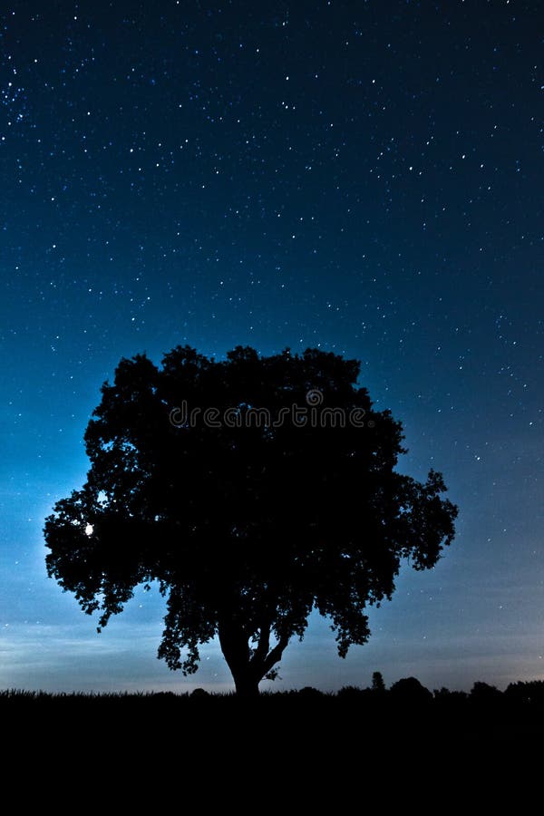 Blue night tree stock photo. Image of meteorite, blue - 27888988