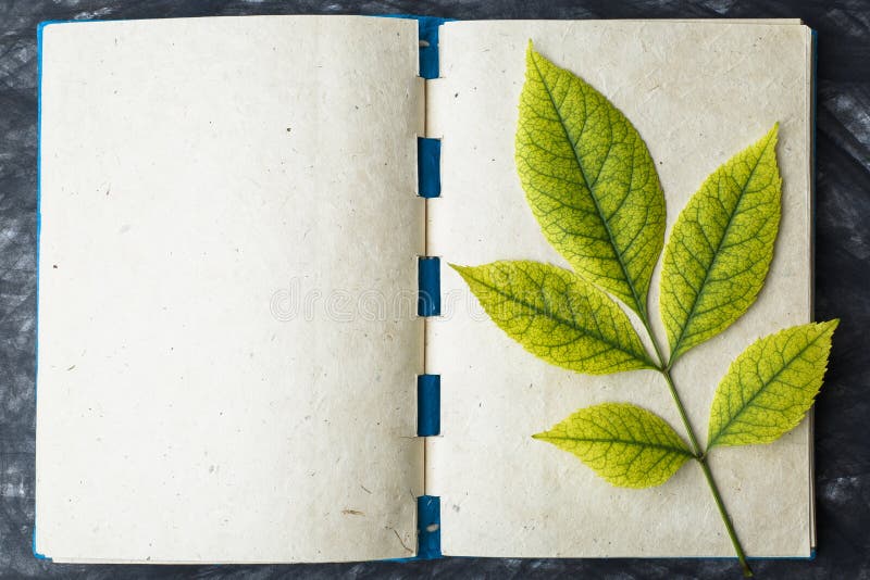 Notebook Paper with the Texture, Yellow Leaf Stock Photo - Image of ...