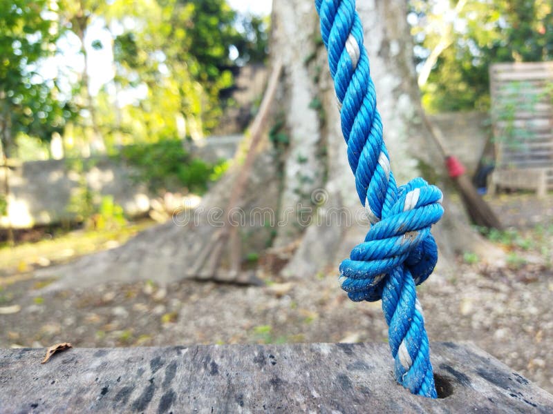 Blue Nylon Rope with Knot Shape for Swing in the Garden Stock Photo ...