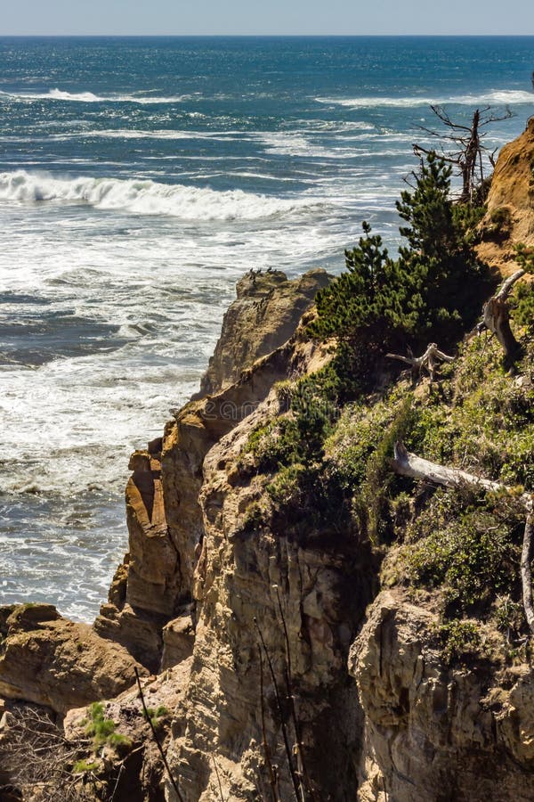 Rocky cliff down to ocean stock image. Image of portofino - 116410337