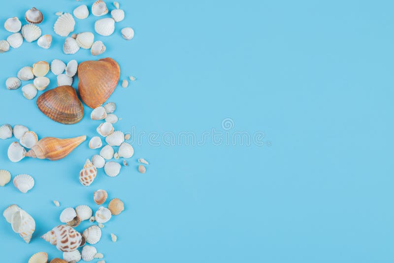 Blue Ocean Background with Sea Shells on it Stock Photo - Image of ...