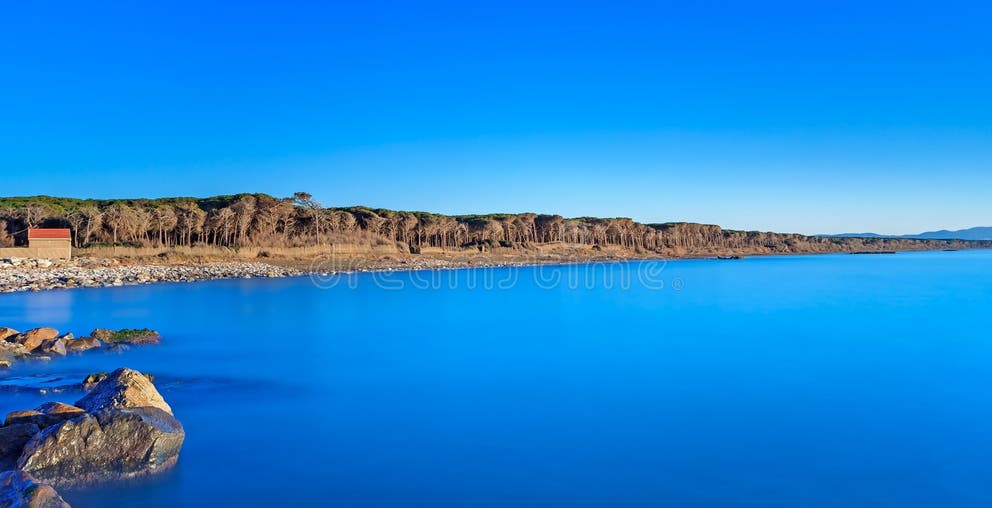 Blue Ocean, Rocks, Pine Forest, Clear Sky, Beach on Sunset Stock Image ...