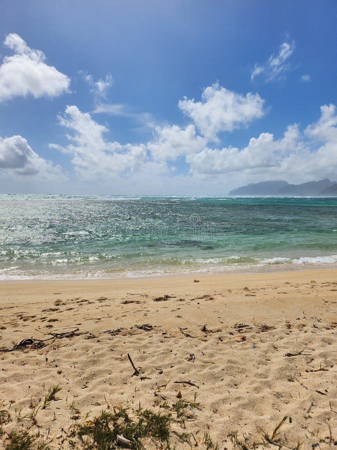 Blue Ocean Scene with Calm Water and Blue Skies at the Beach Stock ...