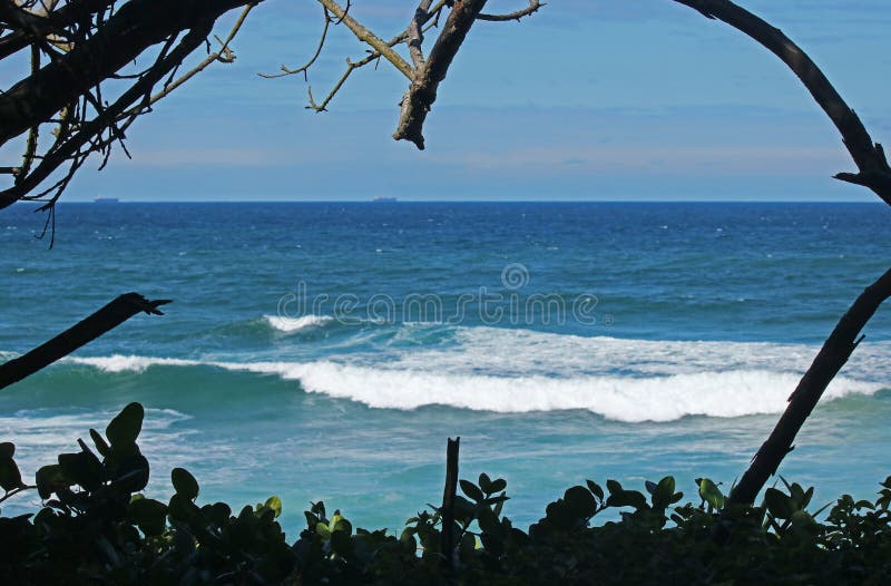 Ocean Seen through Foliage and Branches. Stock Photo - Image of ...