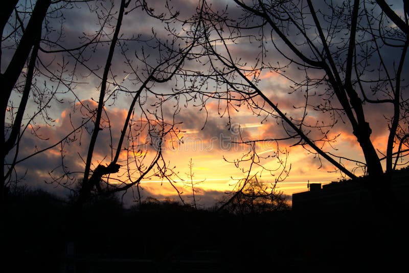 Blue Orange Sunset in Paris France with Trees Stock Image - Image of ...