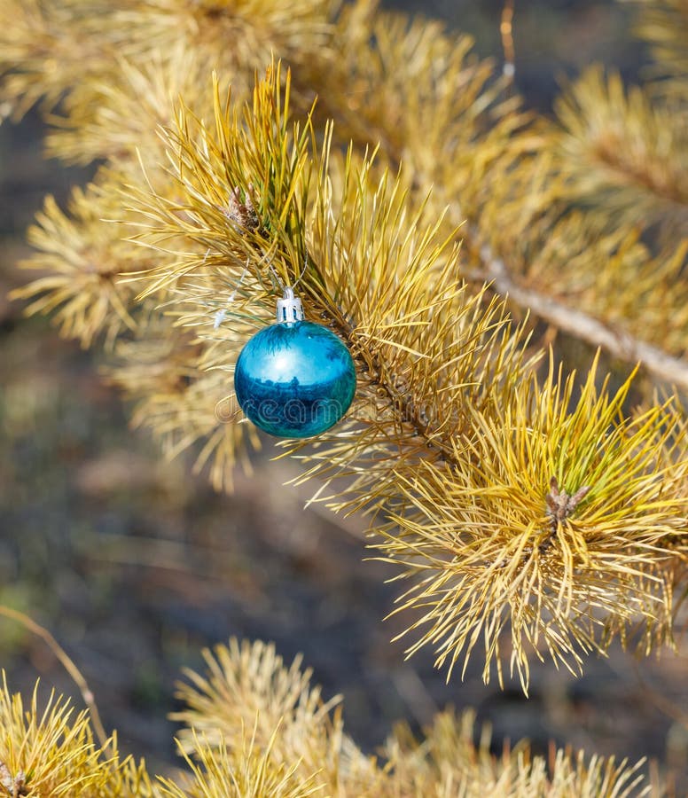 Blue Ornament Hanging on Christmas Tree Stock Photo - Image of round ...