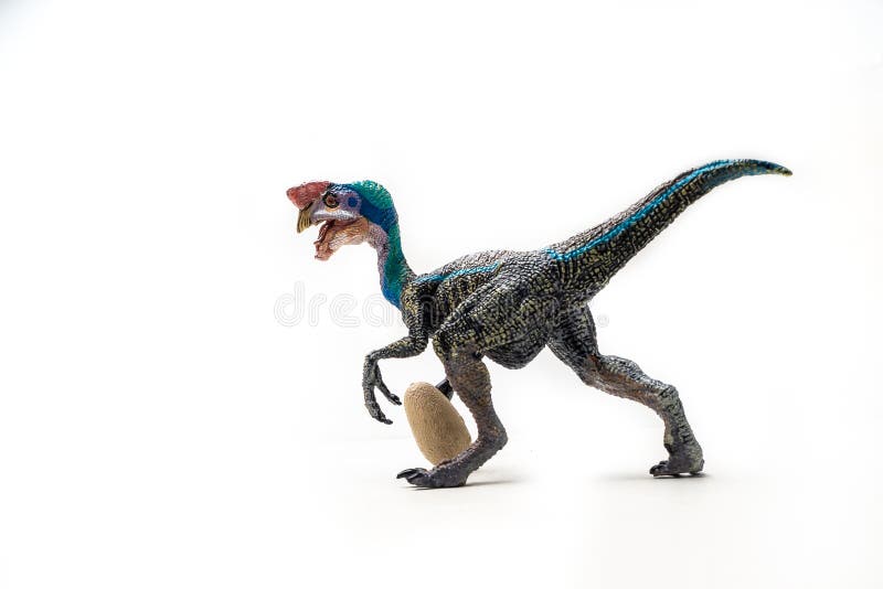 Blue Oviraptor Dinosaur on White Background Stock Image - Image of ...