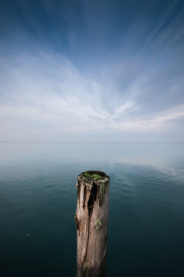 Among blue, pale stock photo. Image of morning, isolated - 38829700