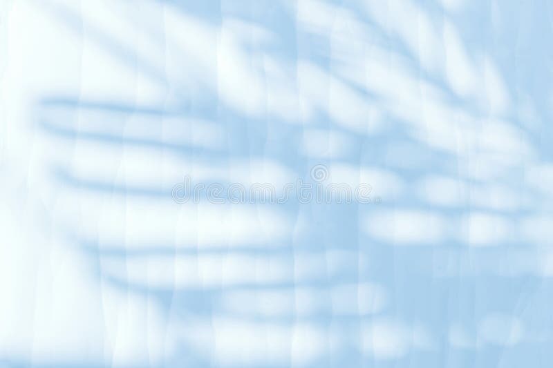 Blue Palm Leaves Shadow on White Paper Texture Background Stock Photo ...