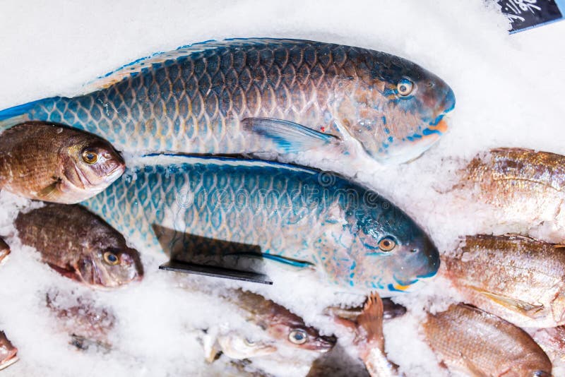 Refridgerate Meat Stock Photos - Free & Royalty-Free Stock Photos from ...