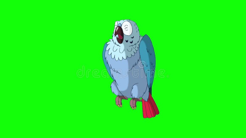 Blue Parrot Talking. stock footage. Video of biology - 76507652