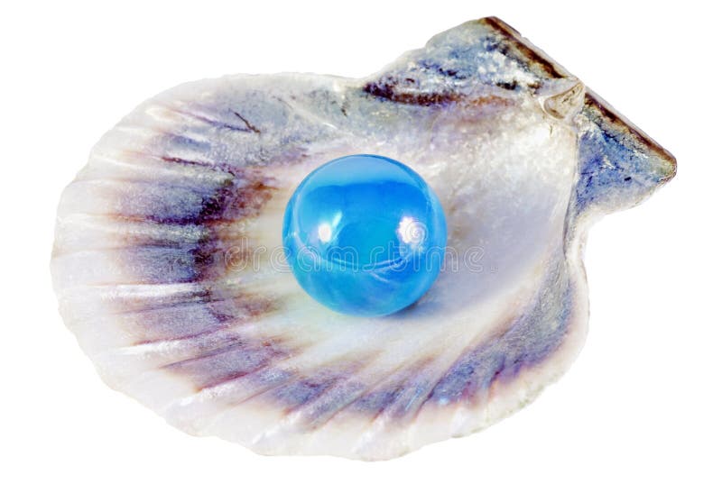 3,513 Blue Pearl Shell Stock Photos - Free & Royalty-Free Stock Photos ...