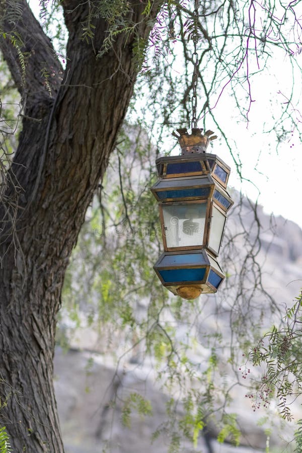 Blue Pendant Lamp in a Garden Tree Stock Image - Image of forest ...