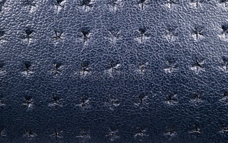 822 Perforated Leather Texture Stock Photos - Free & Royalty-Free Stock ...