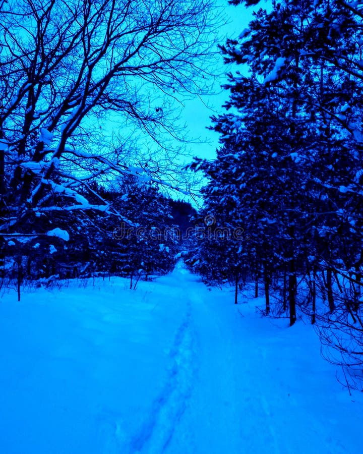 Blue time stock image. Image of time, trees, blue, period - 132955285