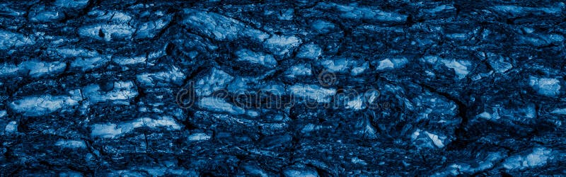 Blue Pine Bark with a Visible Texture Stock Image - Image of park, tree ...