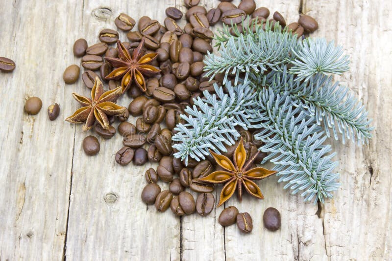 Blue Pine Tree Branch, Anise and Coffee Beans Stock Photo - Image of ...