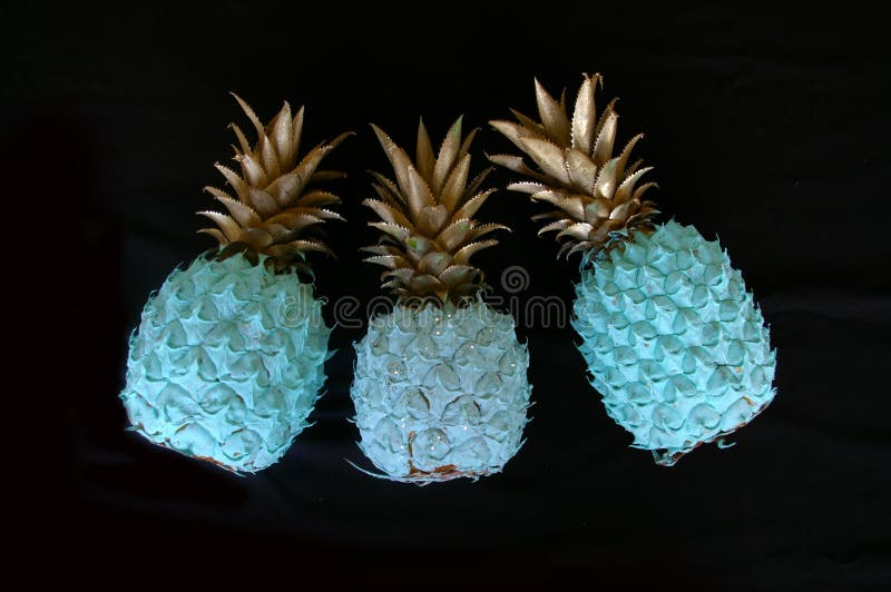 Blue Pineapple on Blue Background. Blue Tinted Window Stock Image ...