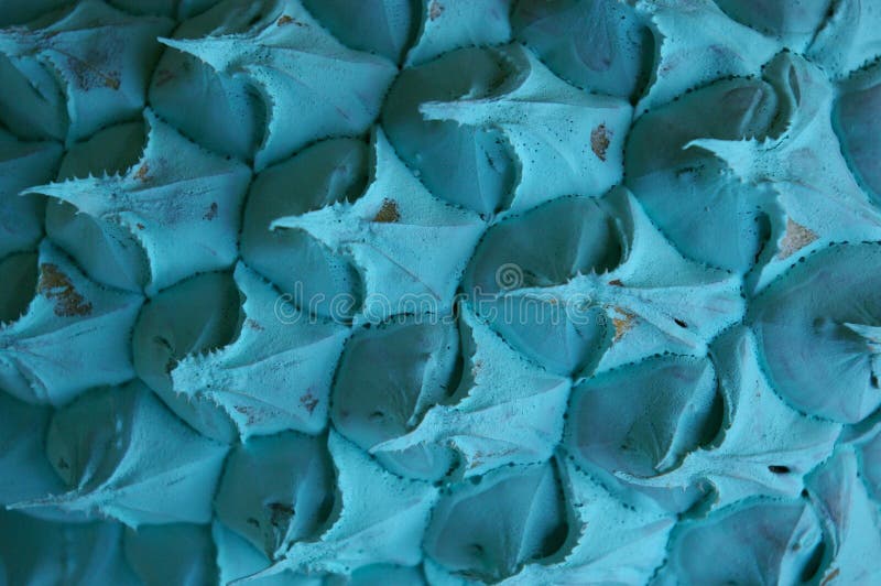 Blue pineapple texture stock image. Image of tropical - 68869563