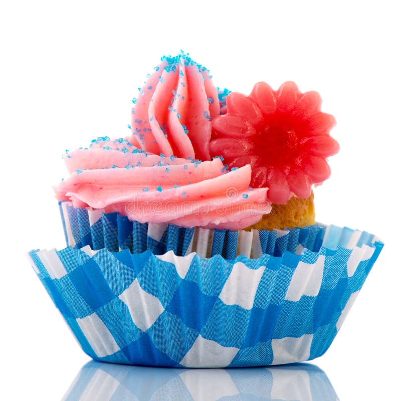 Blue and pink cupcake stock photo. Image of birth, checked - 29284160