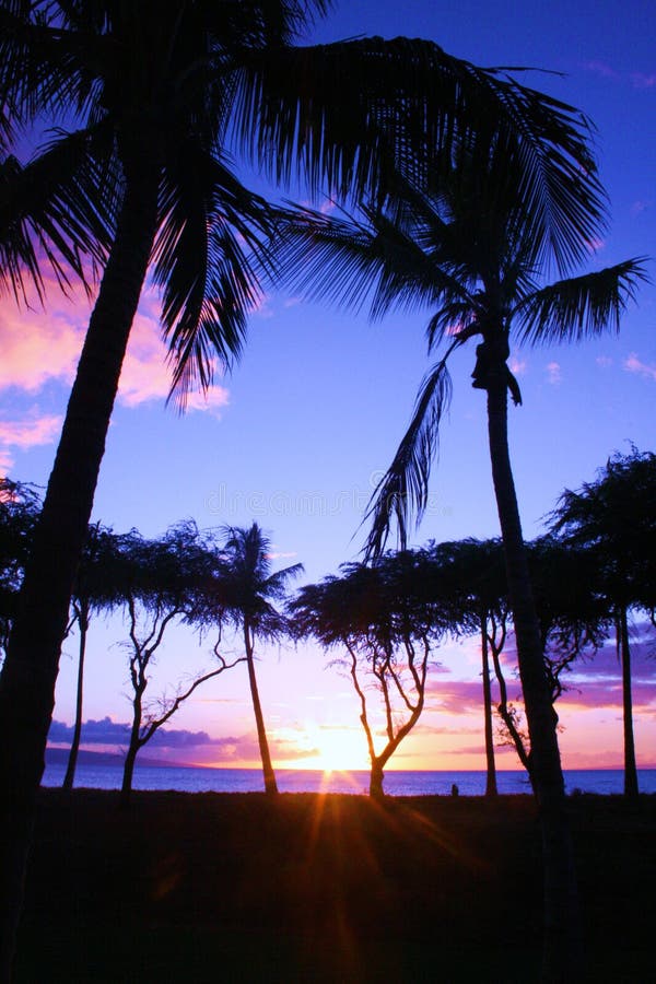 Blue and Pink Maui Sunset stock image. Image of hawaii - 5722641