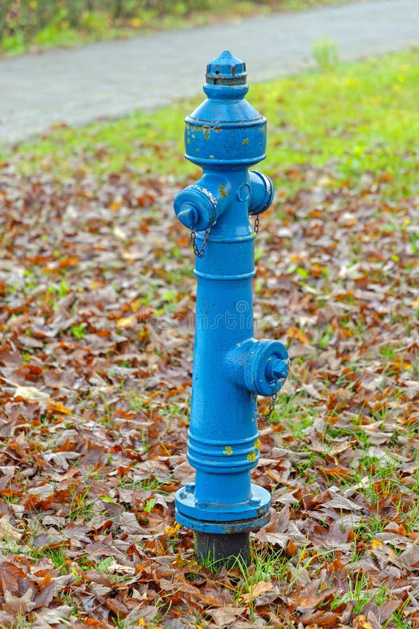 Blue Water Fire Hydrant stock photo. Image of water - 347392658