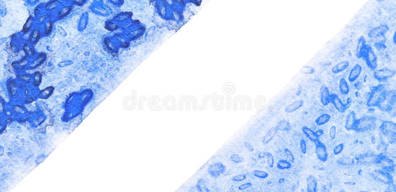 Blue Plant Cell Study with Watercolor Technique and Detailed Microscope ...