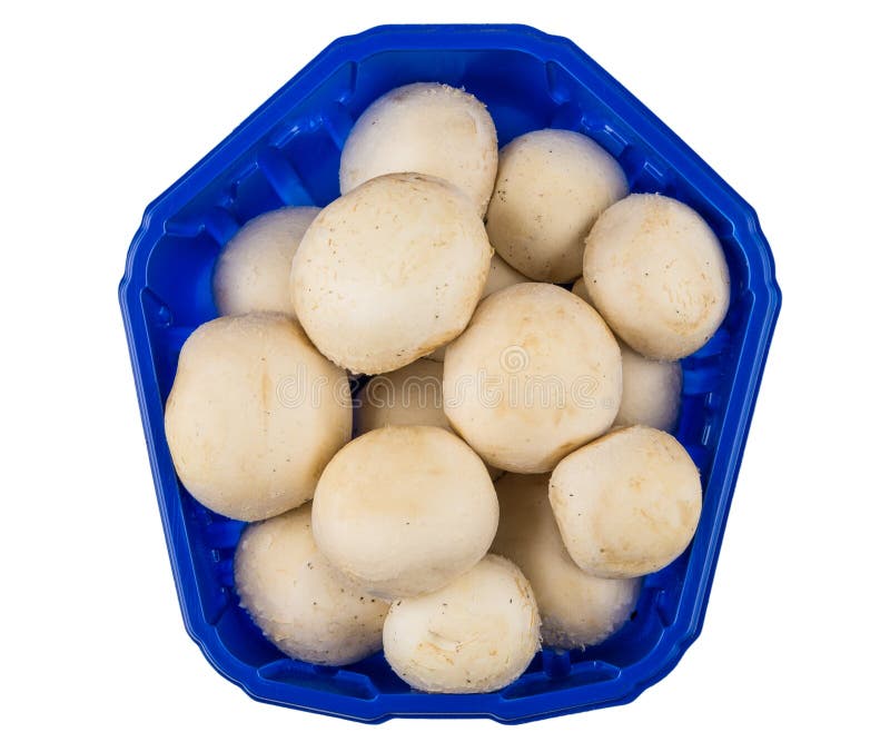 Raw Mushrooms in Blue Plastic Container, Kitchen Knife on Table Stock ...