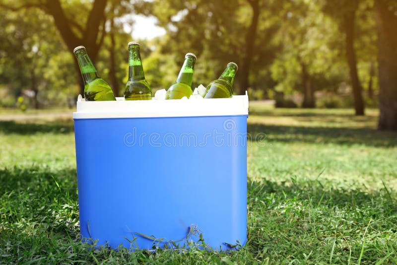 Blue Plastic Cool Box with Bottles of Beer in Park Stock Photo - Image ...