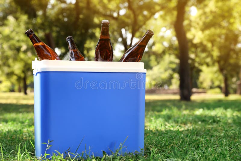 Blue Plastic Cool Box with Bottles of Beer in Park Stock Image - Image ...