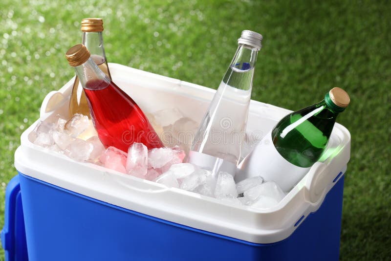 Blue Plastic Cool Box with Drinks and Ice Cubes on Green Grass Stock ...