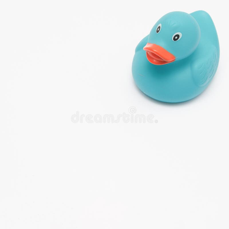 Blue Plastic Duck Toy on a White Background with Copy Space Stock Image ...