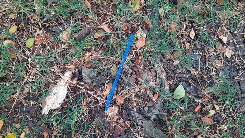 Blue Plastic Straw Pollution Waste Trash Garbage Stock Photo - Image of ...