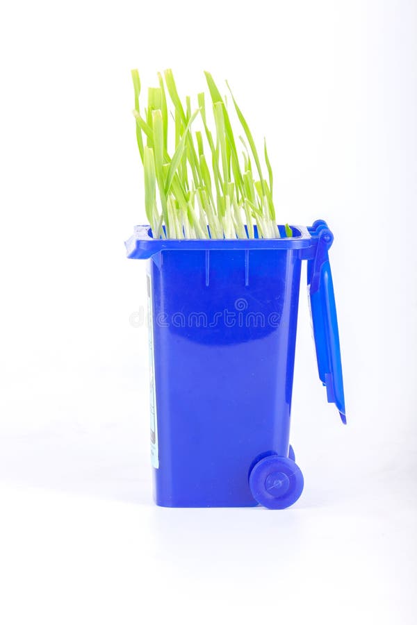 Blue Plastic Trash Recycling Container Ecology, Green Wheat Stock Image ...