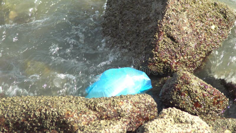 Blue plastic waste at rock stock footage. Video of stone - 180576458