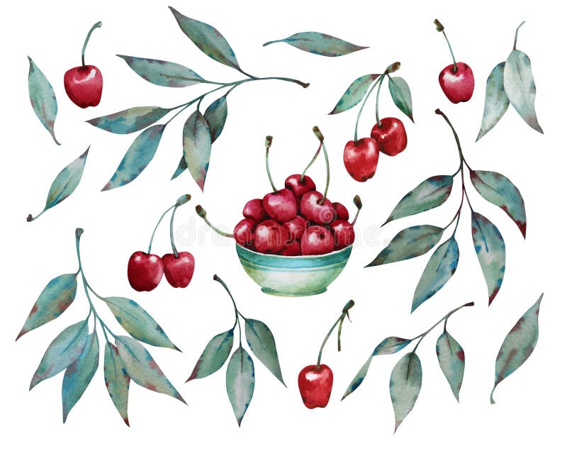 Blue Plate Full of Cherries. Watercolor Drawing Stock Photo - Image of ...