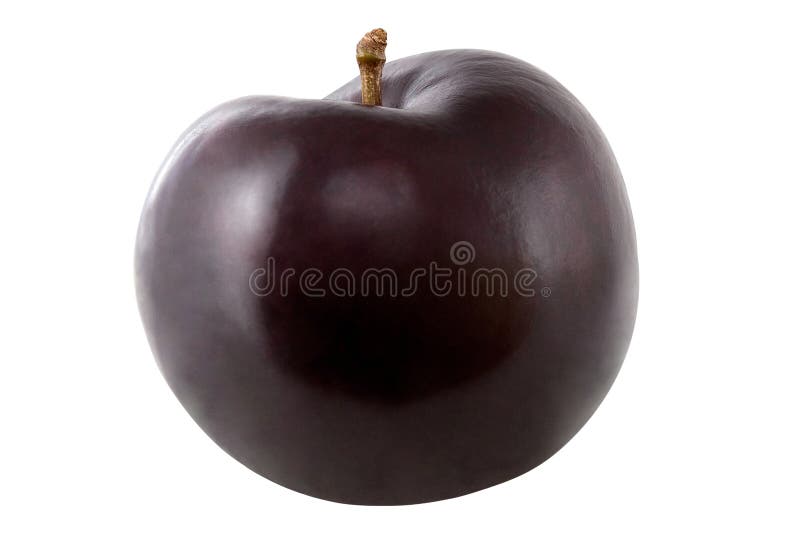 Blue Plum stock image. Image of brown, plum, shape, fruit - 97968793