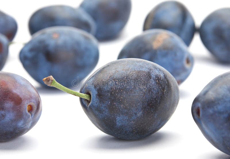 Blue plum stock photo. Image of white, closeup, fruit - 16322344