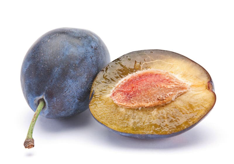 Blue plum stock image. Image of blue, fruit, closeup - 16421295