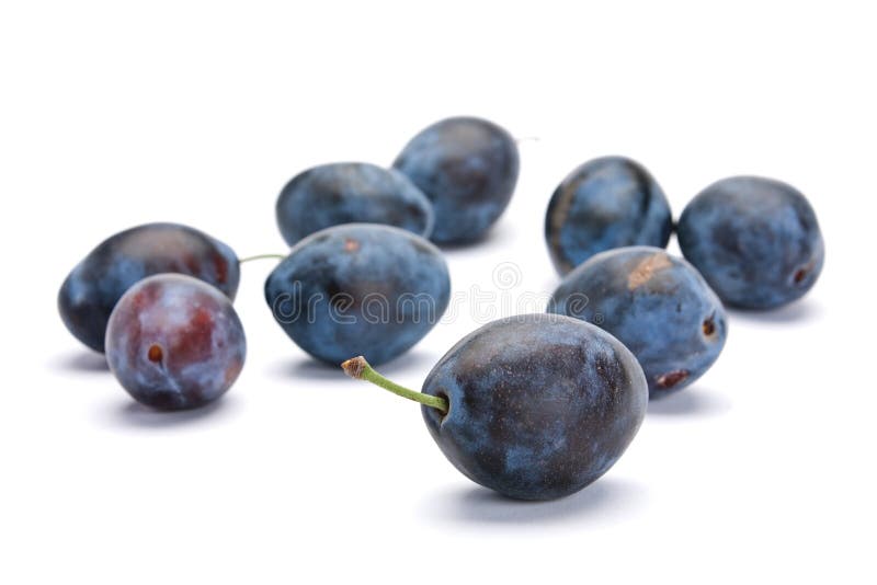 Blue plum stock photo. Image of plum, shadow, isolated - 16801062
