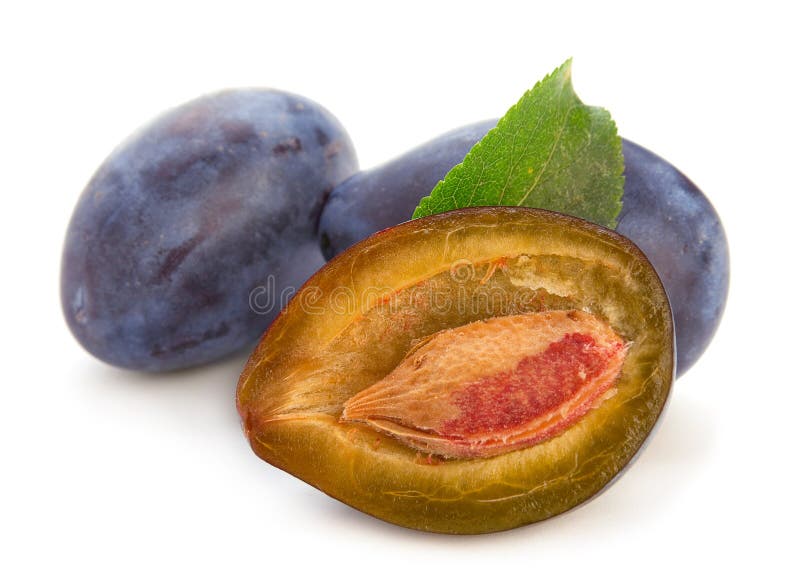 Blue plum stock image. Image of fresh, blue, pulp, food - 26937117