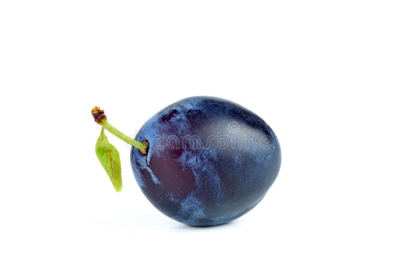 Blue plum stock photo. Image of fresh, closeup, blue - 161362922