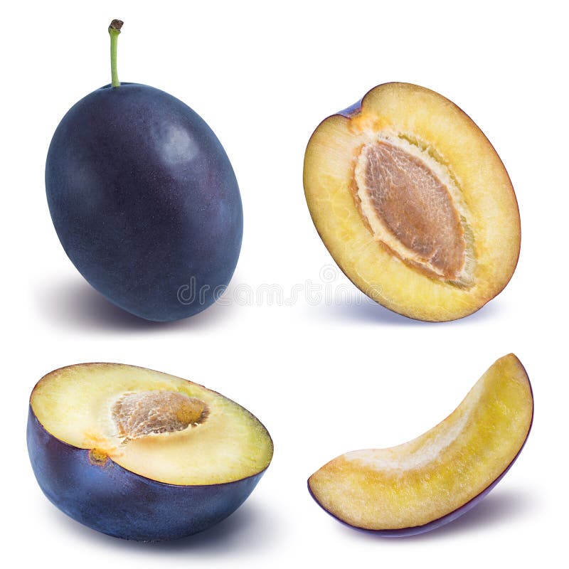 Blue Plum Isolated on White Background Stock Photo - Image of closeup ...
