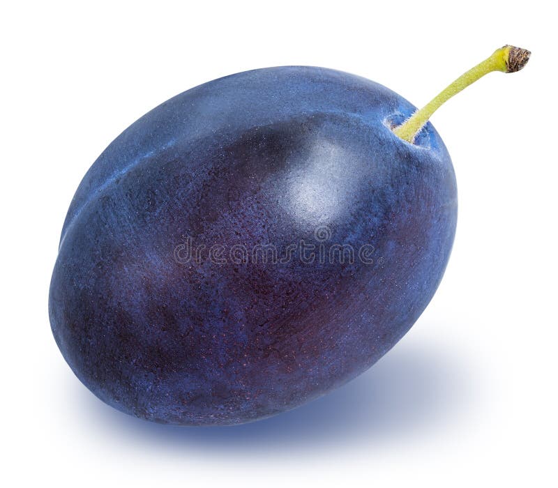 Blue Plum Isolated on White Background Stock Photo - Image of closeup ...