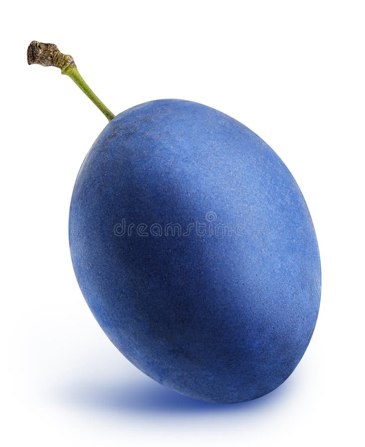 Blue Plum Isolated on White Background Stock Photo - Image of closeup ...